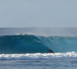 » Finn Black // Cook Islands We Bodyboard - Bodyboarding Videos and Movies